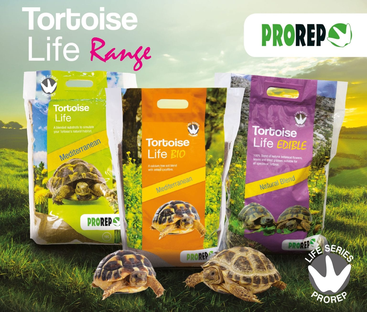 ProRep - an introduction to the brand! | Coast To Coast Exotics