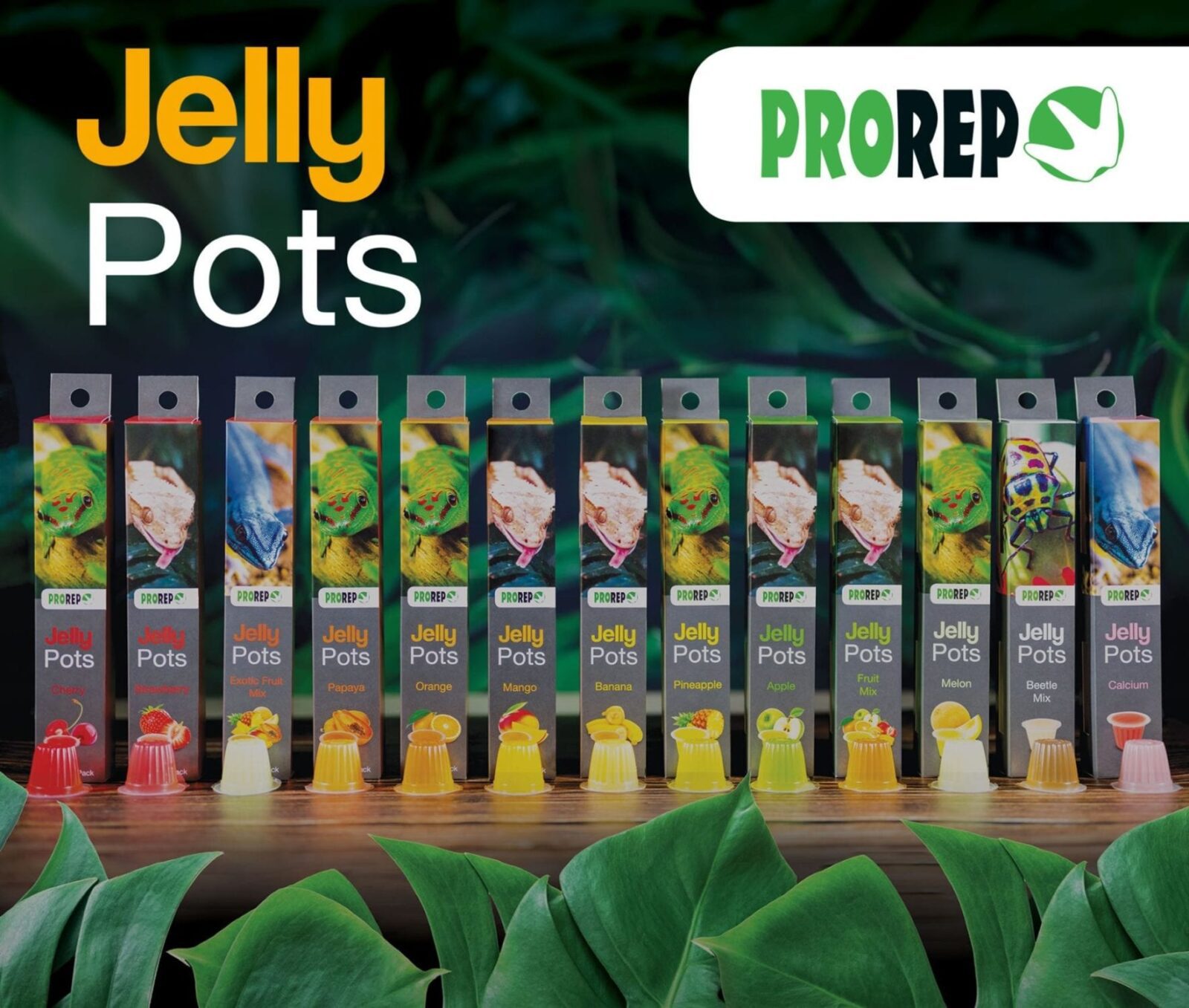 ProRep - an introduction to the brand! | Coast To Coast Exotics