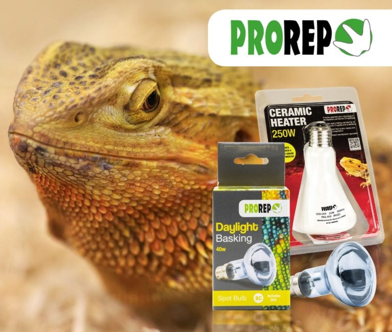 ProRep - an introduction to the brand! | Coast To Coast Exotics